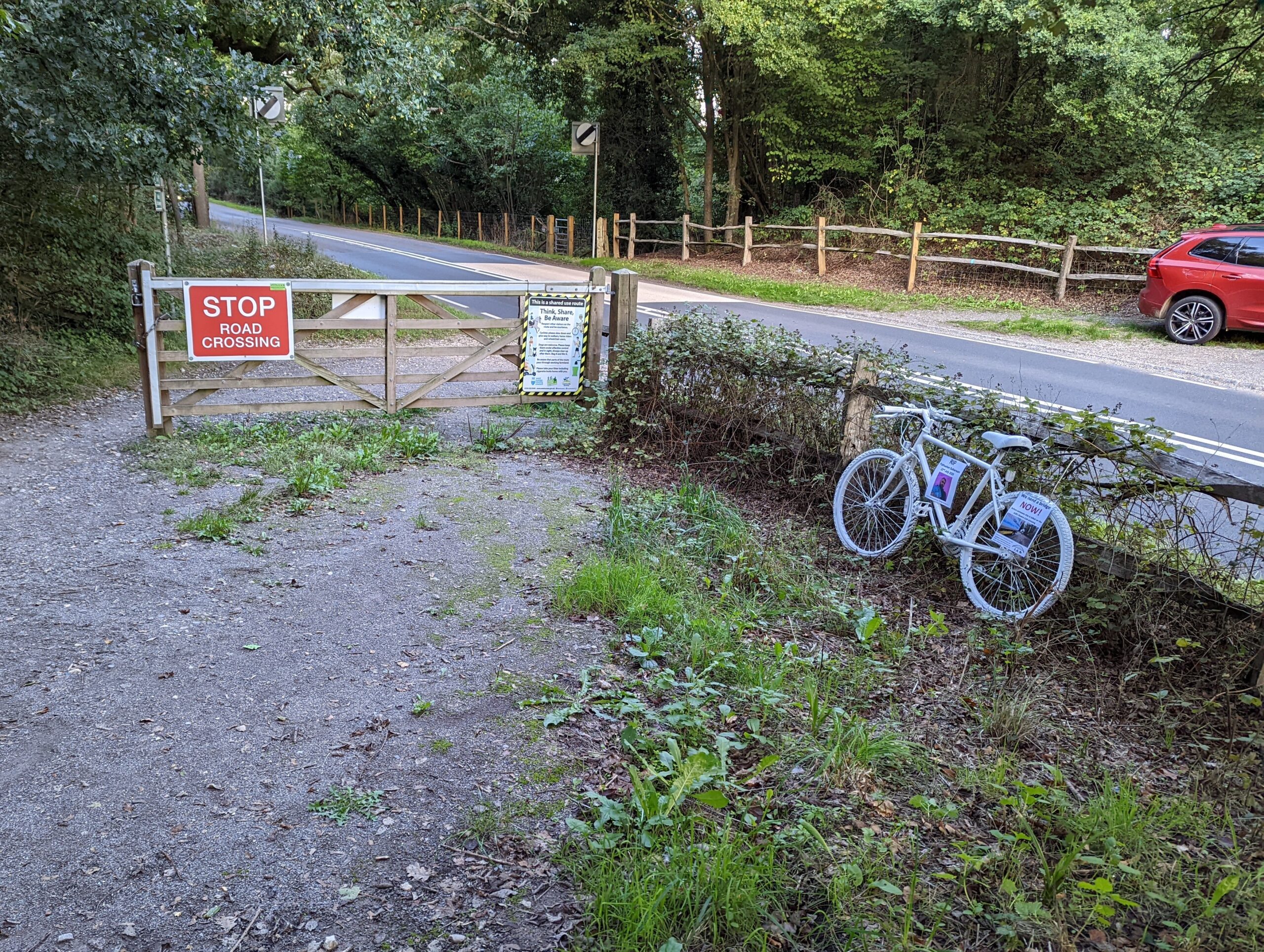 Ghost bike for Pathushan Sutharsan placed at lethal A281 Downs Link ...